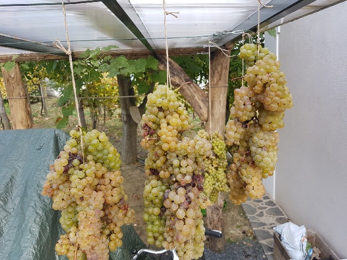 Late harvest Olaszrizling 2021 - natural wine